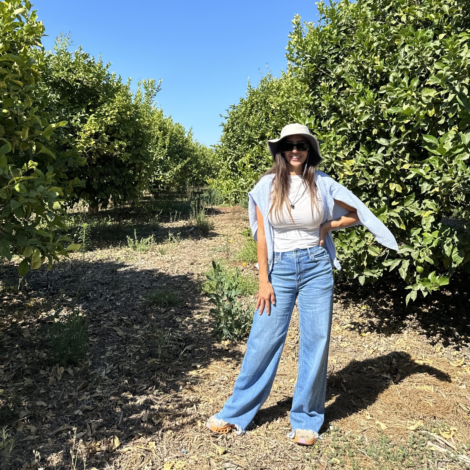 Blog Mom Nutritionist